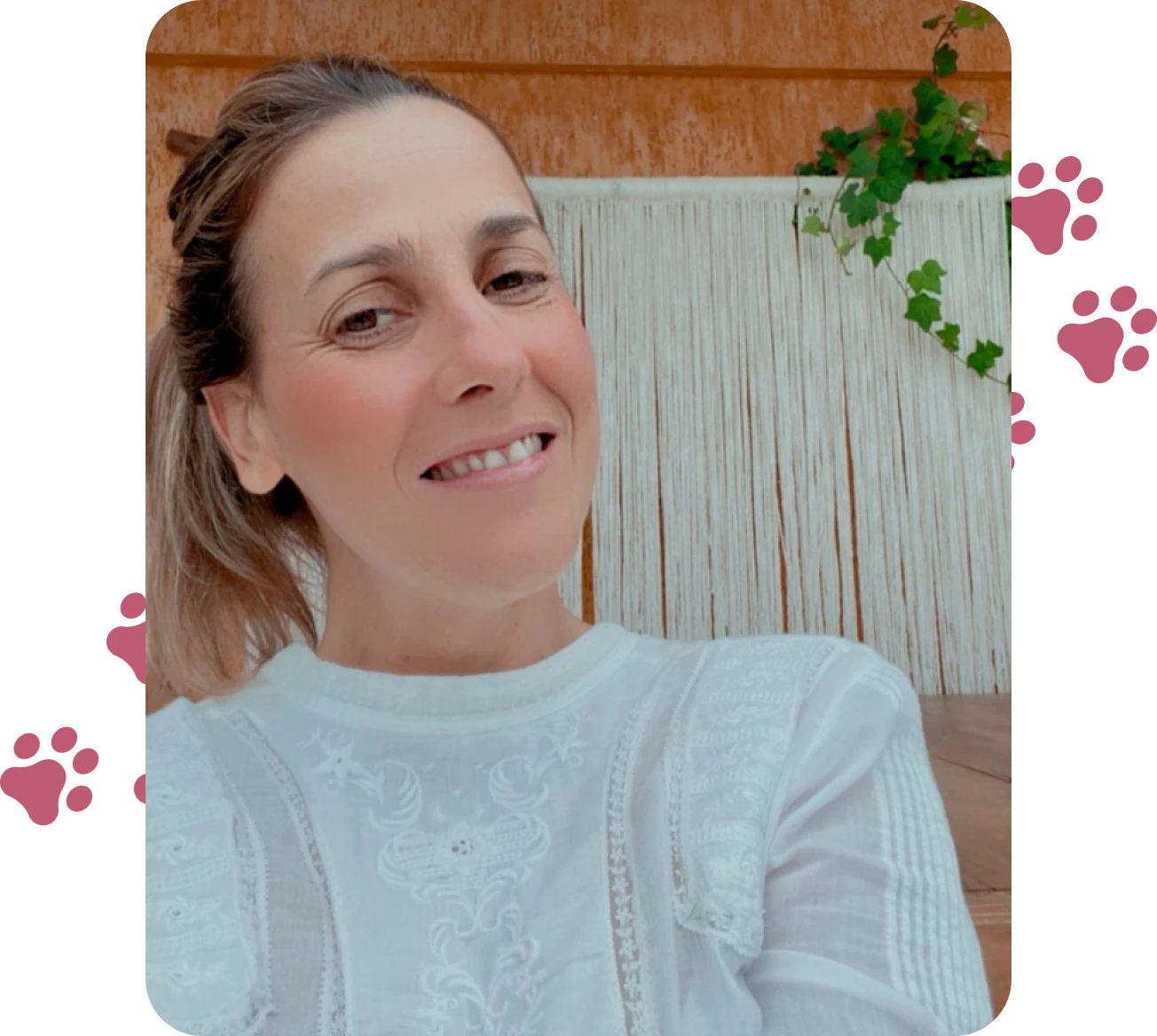 MinhAU Pet - Sachês Naturais para Gatos